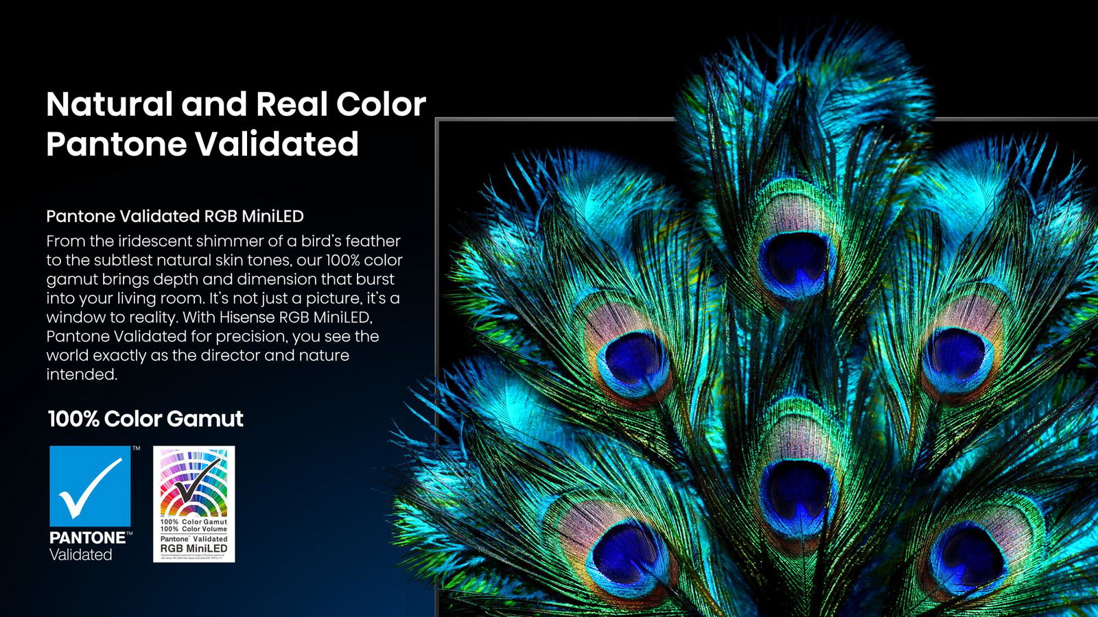 L'RGB MiniLED di Hisense: più colore e comfort, meno consumi - Tom's ...